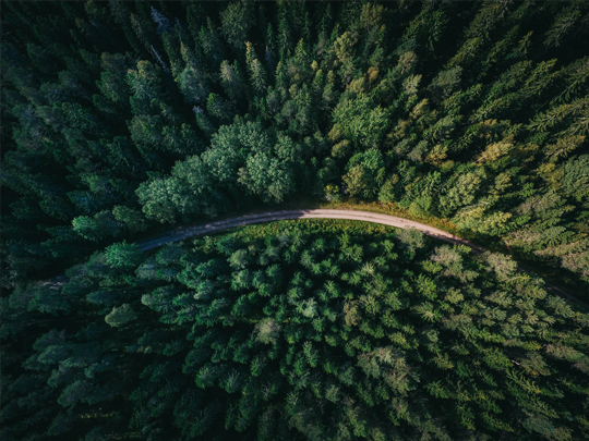 Industry Leading Forest Products Company Increases Competitiveness with ...